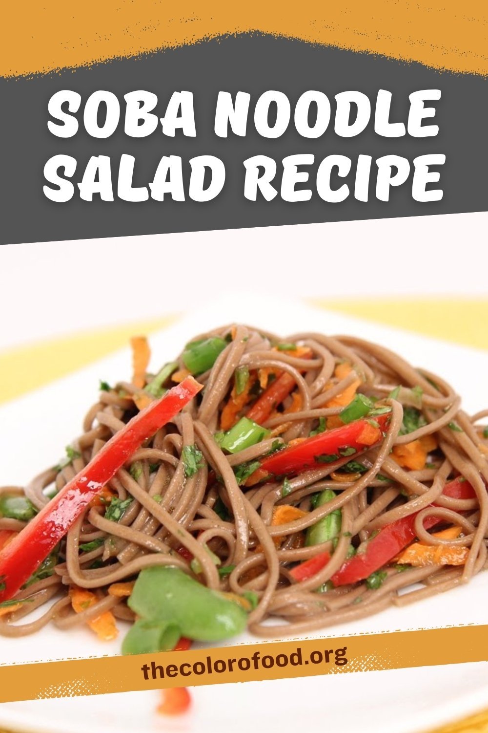 Soba Noodle Salad Recipe – thecolorofood.org
